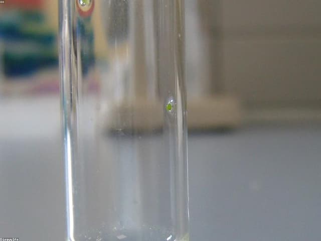Veeta Scientific Solution - Lab Supplies & Diagnostics